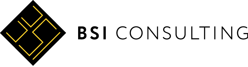 BSI Consulting – Conseil et Audit en sécurité